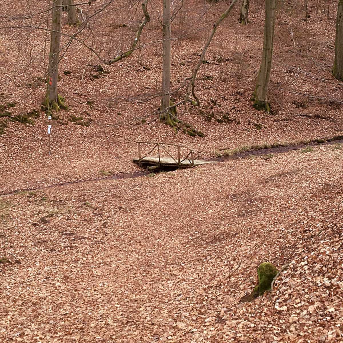 TOUR 31: BHF BEXBACH – BLUMENGARTEN – BRUNNENPFAD