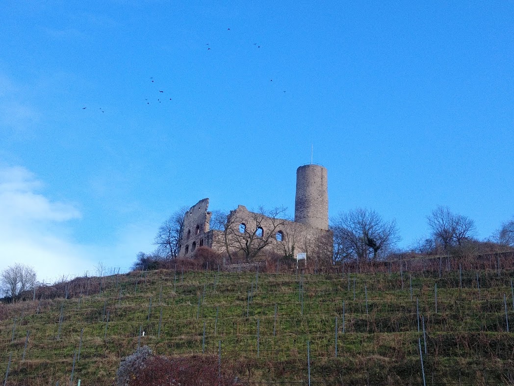 TOUR 79 – SCHRIESHEIM – SCHAUENBURG – SCHRIESHEIM