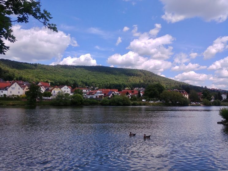 STADTANSICHTEN – NECKARGEMÜND