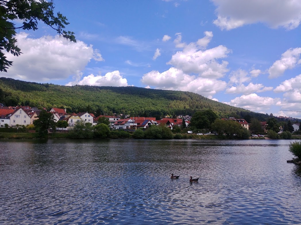 STADTANSICHTEN – NECKARGEMÜND