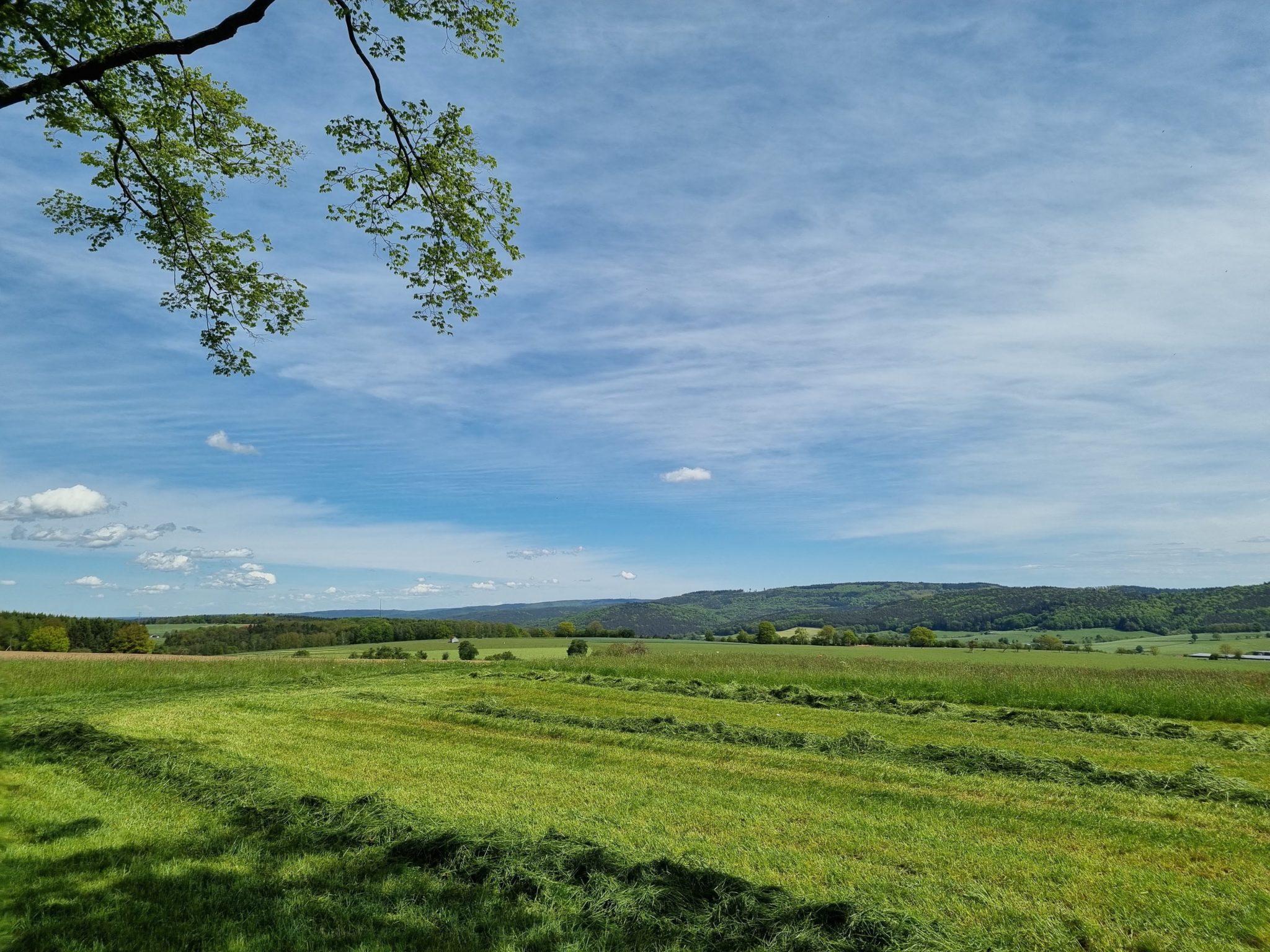 BEERFELDEN (EINER VON VIER STADTTEILEN VON OBERZENT)