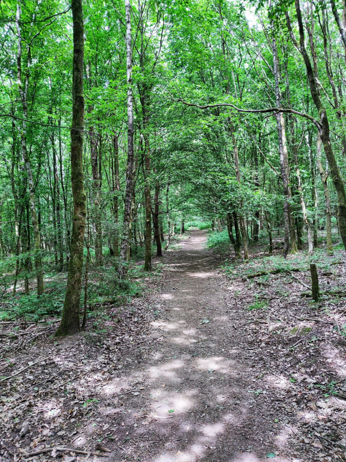 FOTO-WANDERUNG 32 – VON MERZIG NACH METTLACH